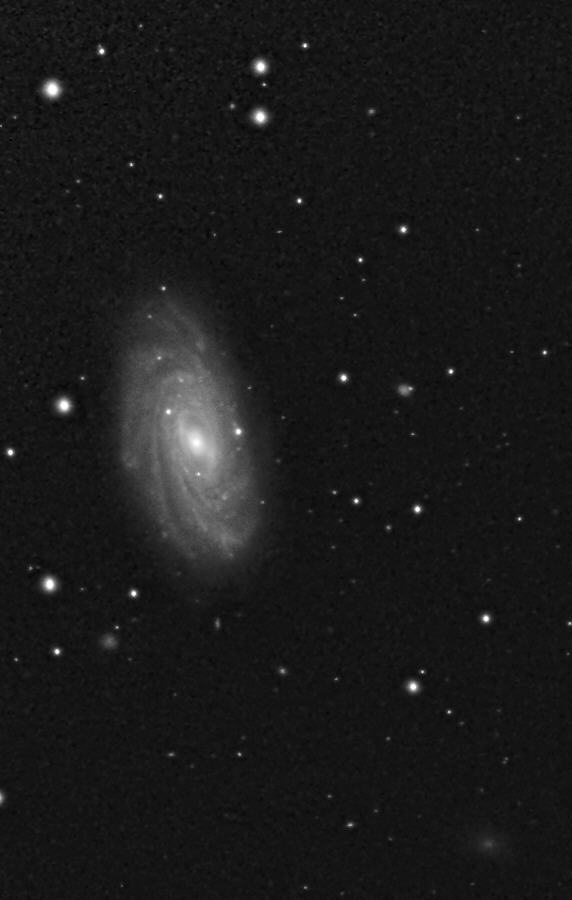 NGC 3953